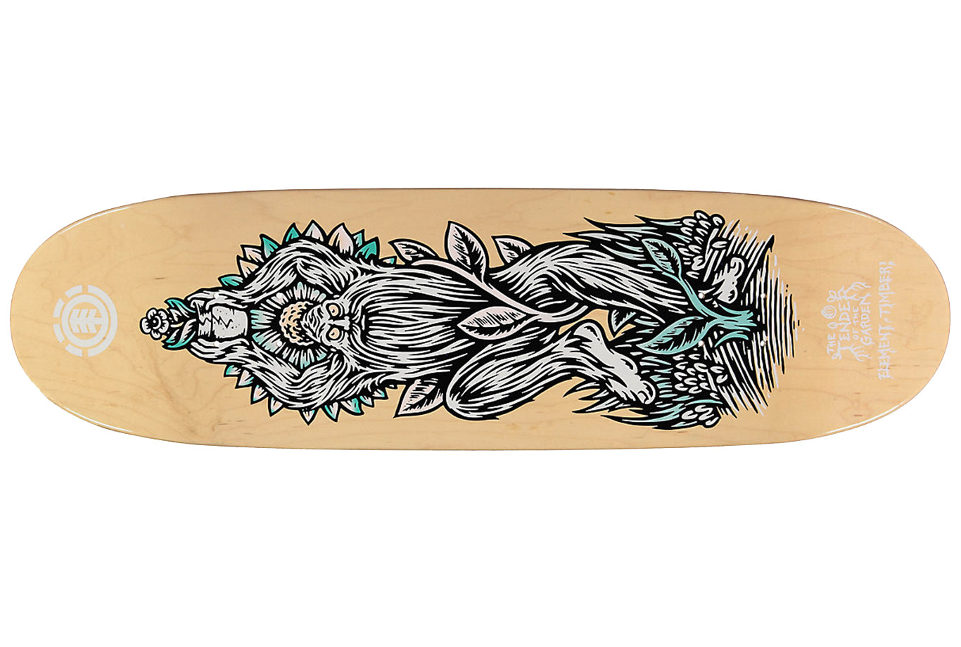 Skateboard - Boards – Boutique Radical Sport